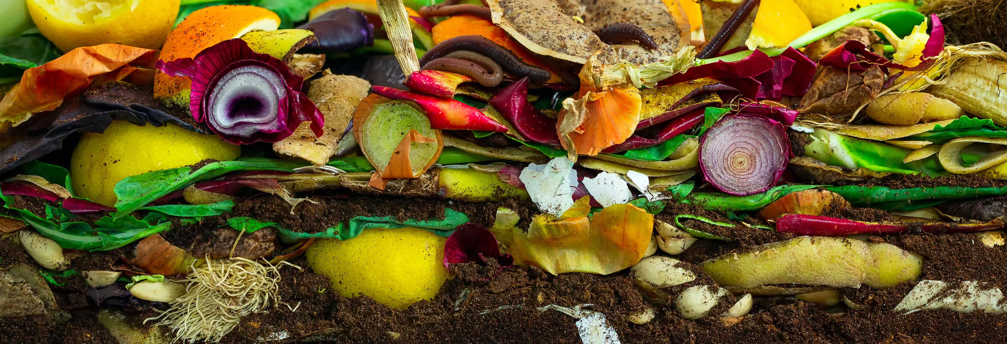 Composting and Digesting | Essex-Windsor Solid Waste Authority (EWSWA)
