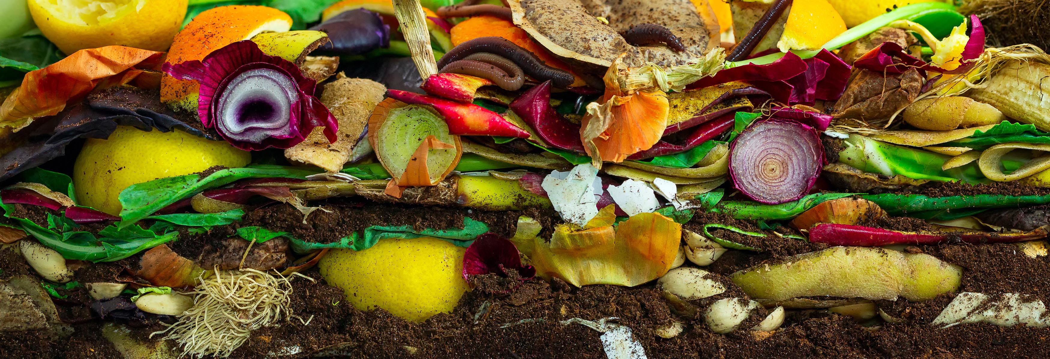Composting and Digesting | Essex-Windsor Solid Waste Authority (EWSWA)