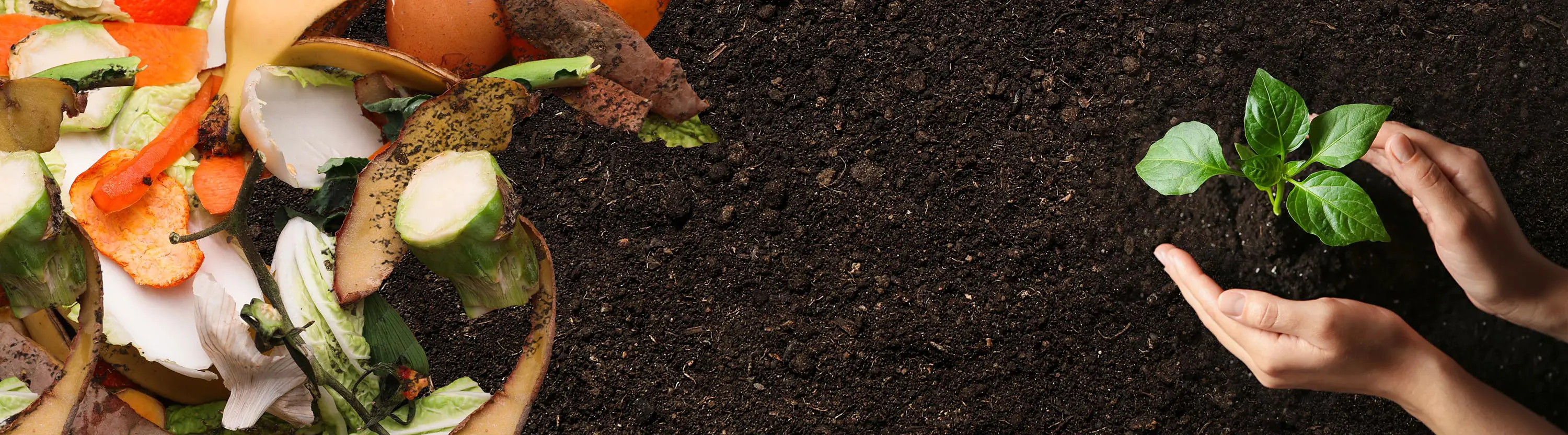 Green Bin Program | Essex-Windsor Solid Waste Authority (EWSWA)