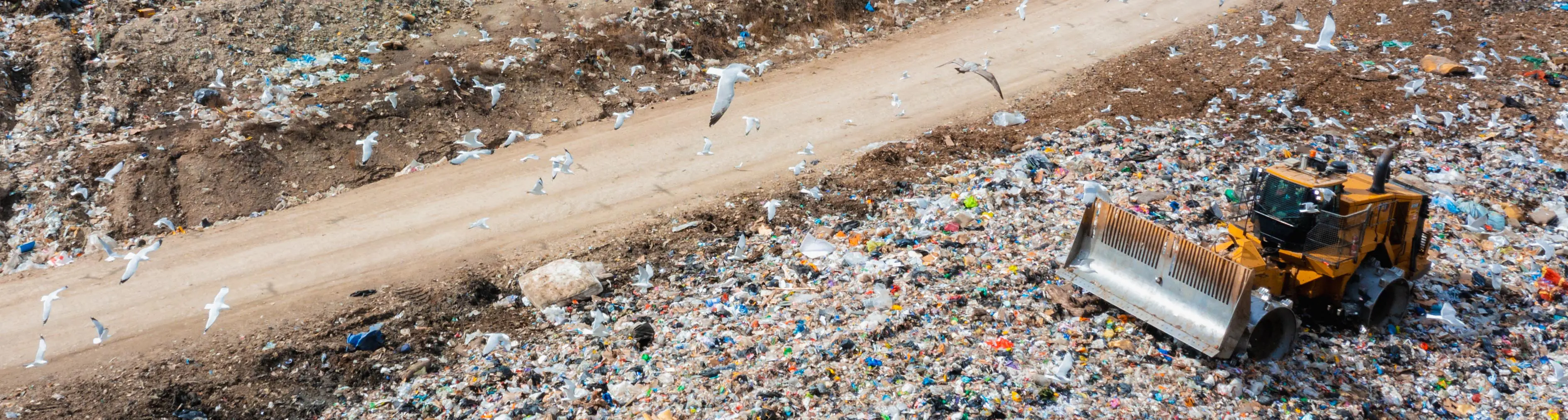 Businesses & Landfill | Essex-Windsor Solid Waste Authority (EWSWA)